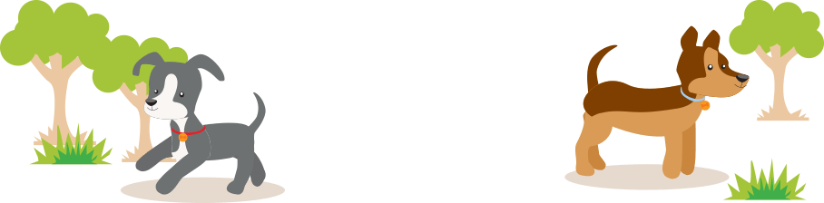 PARASITE RISK CHECKER | petparasiteprotection.co.uk